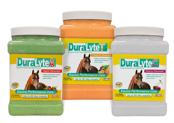 DuraLyte Electrolytes - Horse Health Supplements