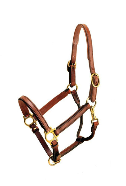 Tory 3/4" Padded Leather Halter - Cob Horse Halters