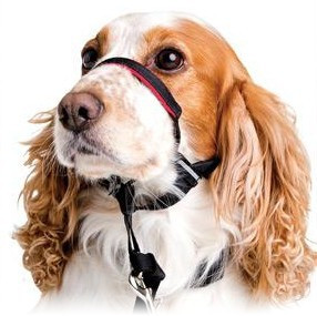 HALTI Opti-Fit Headcollar- Dog Collars