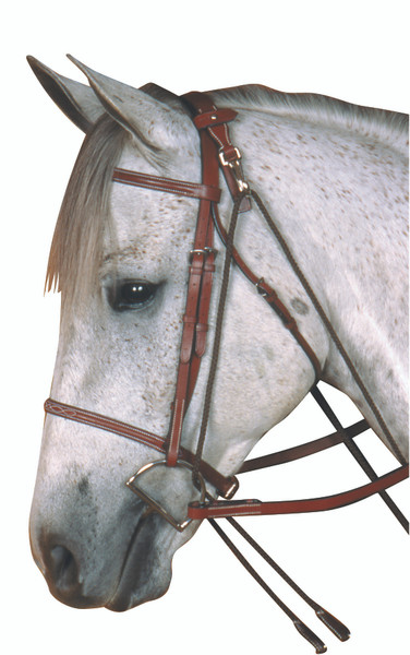 Kincade Gogue- Horse Training Tack