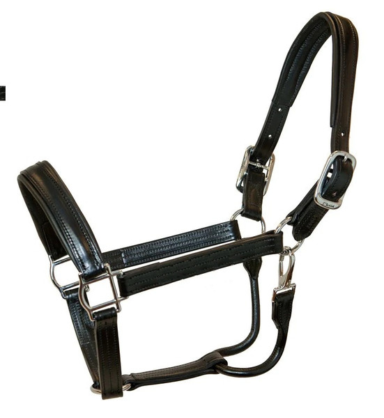 Walsh Leather Dressage Halter- Horse Halters