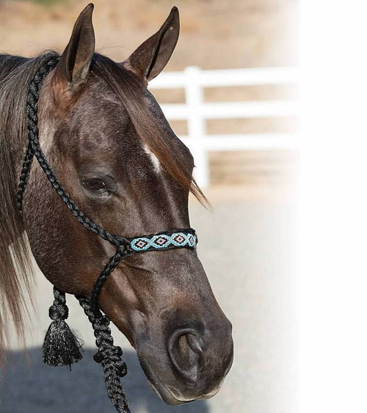 Professional's Choice Beaded Cowboy Braided Halter- Western Halters