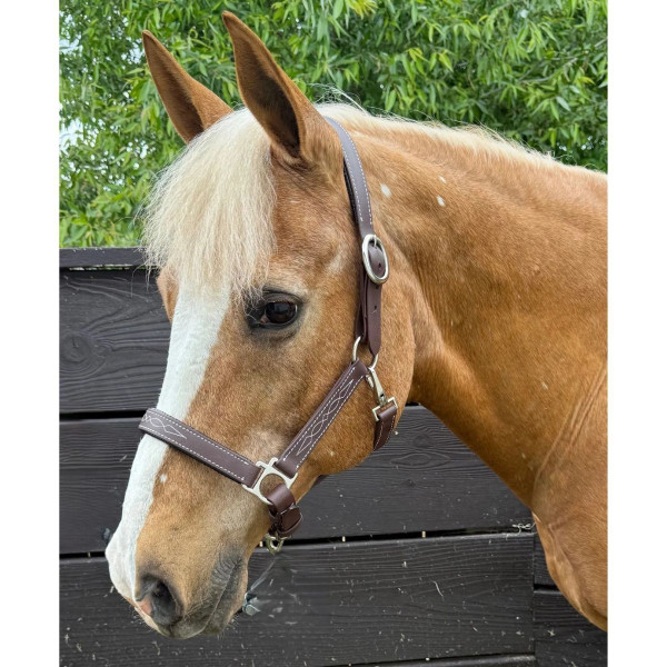 Mackey PVC Breakaway Halter