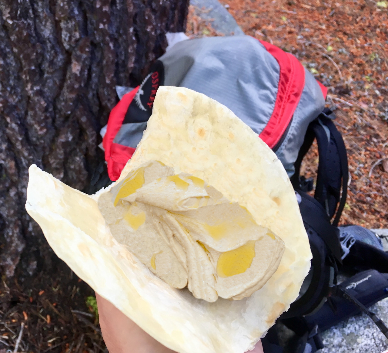 Hummus Powder Dehydrated Bulk Mix Instant | Outdoor Herbivore