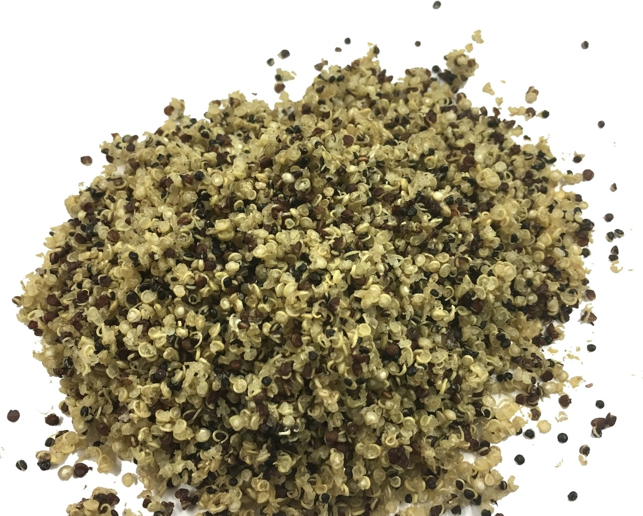 Organic Instant Tricolor Quinoa with Dried Sauces | Outdoor Herbivore