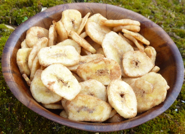 Organic Cinnamon Banana Chips | Outdoor Herbivore