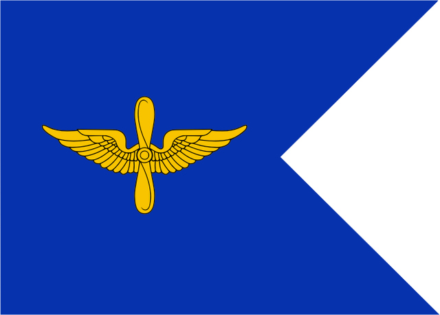 Military - Army - Guidons - DEL Flags