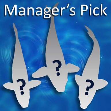 Pick Your Mix Managers Pick
