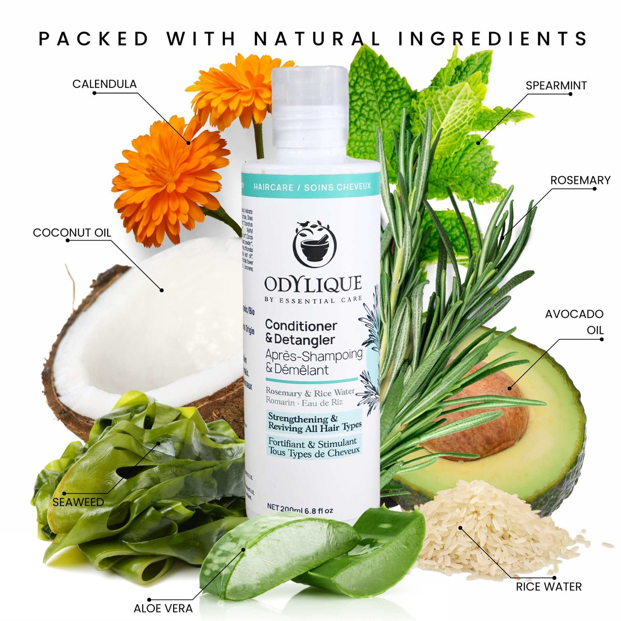 Rosemary Conditioner | Seaweed Conditioner | All-Natural Conditioner