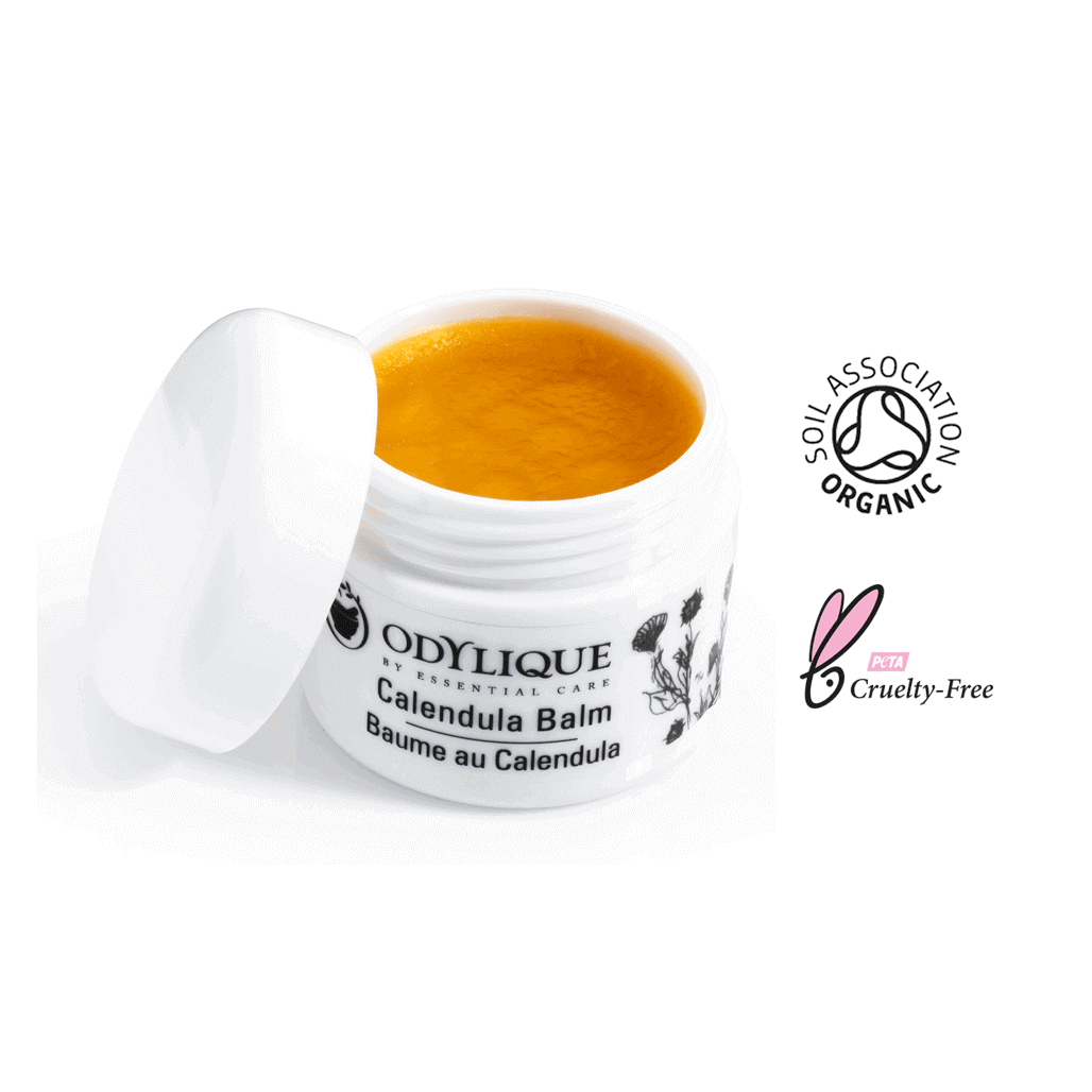 Calendula Ointment | Calendula Cream | Organic Calendula Balm
