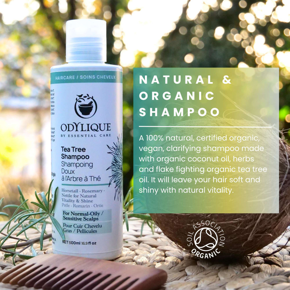 Tea Tree Shampoo | Organic Tea Tree Clarifying Shampoo | Shampoo Oily ...