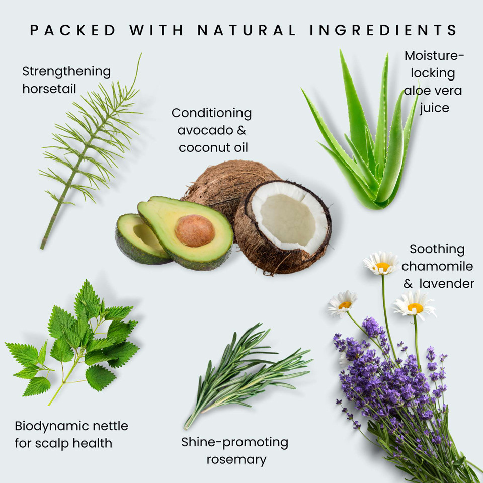 Lavender Shampoo | Organic Shampoo | Sulphate Free Shampoo | Gentle Shampoo
