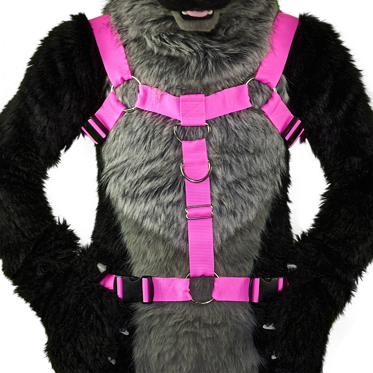 Reindeer Harness - Crunchycurl Creations