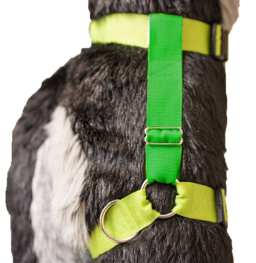 Cuffs 4-Set (Hands+Feet) - Crunchycurl Creations