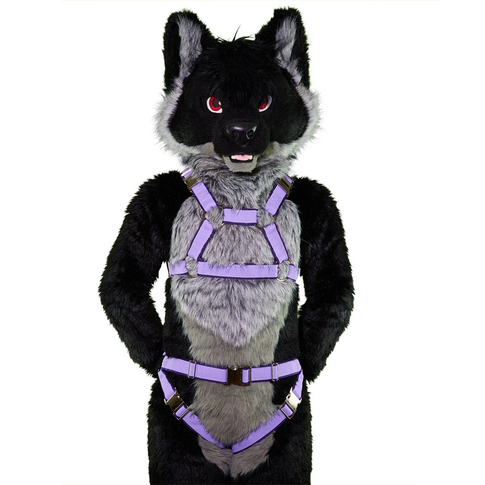 Fursuit Collar - Crunchycurl Creations