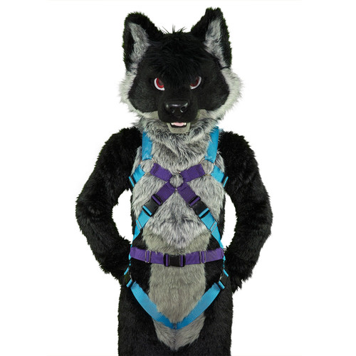 Full X-Harness with Leg-Straps EXTENDED [Multicolor] - Crunchycurl ...