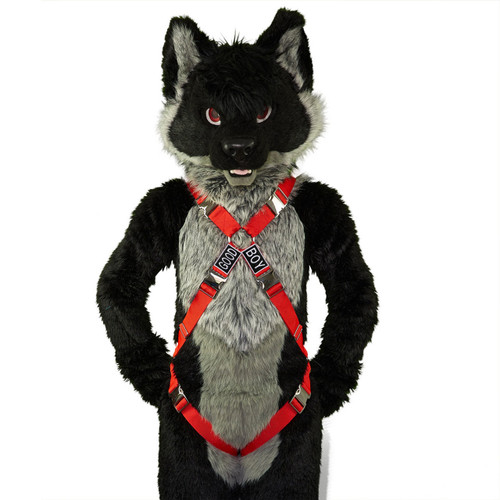 X-Harness with Leg-Straps and Patch - Crunchycurl Creations