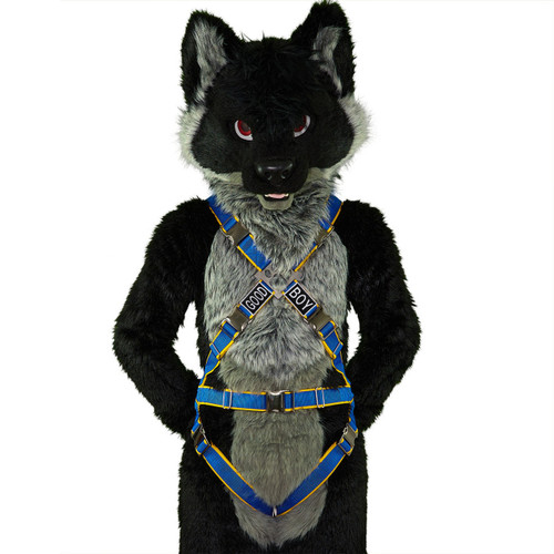Full X-Harness with Leg-Straps and Patch [2-colored] - Crunchycurl ...
