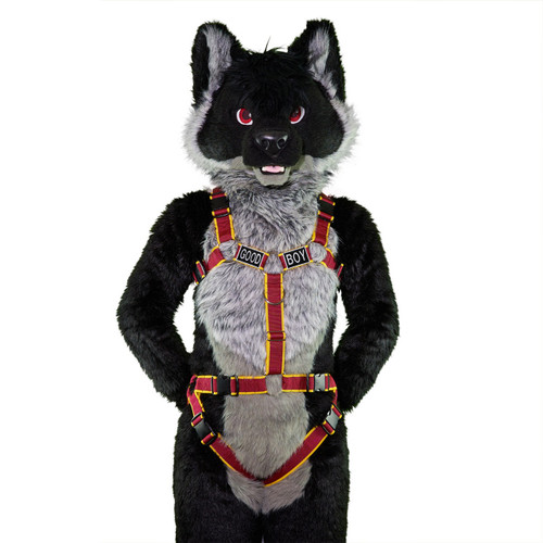 Y-Harness EXTENDED with Leg-Straps and Patch [2-colored] - Crunchycurl ...