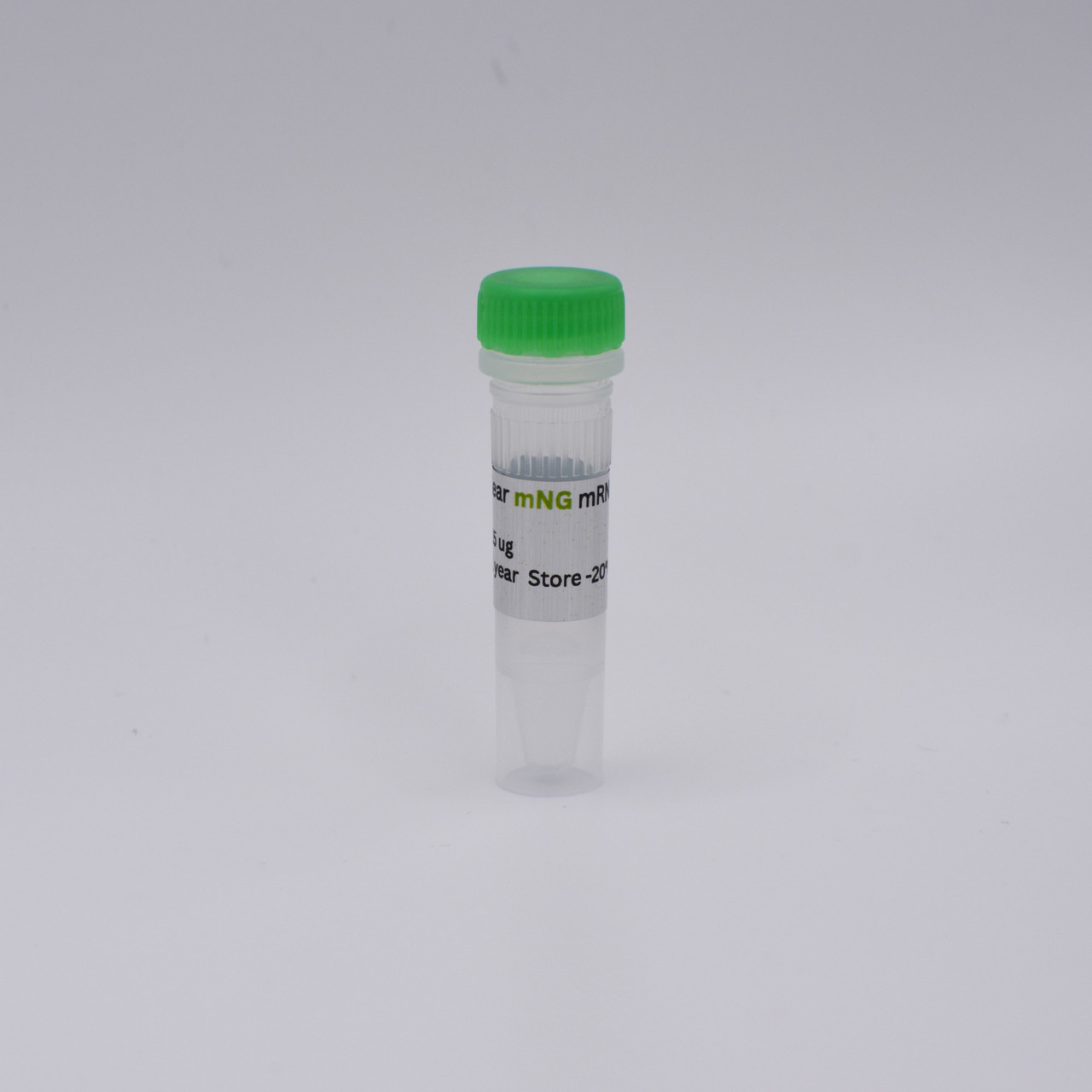 Nuclear mNeonGreen mRNA