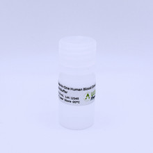 Allele-In-One Human Blood Direct Lysis Buffer [100 rxns] - Allele Biotech