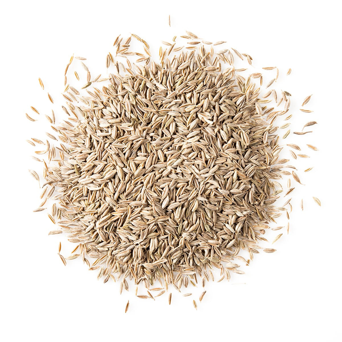 Ground Cumin | Bulk Cumin Powder