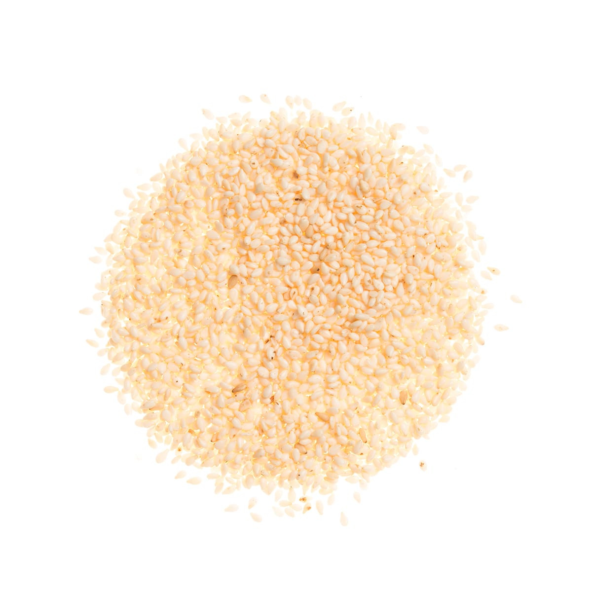 Black Sesame Seeds | Bulk Whole Black Sesame Seeds