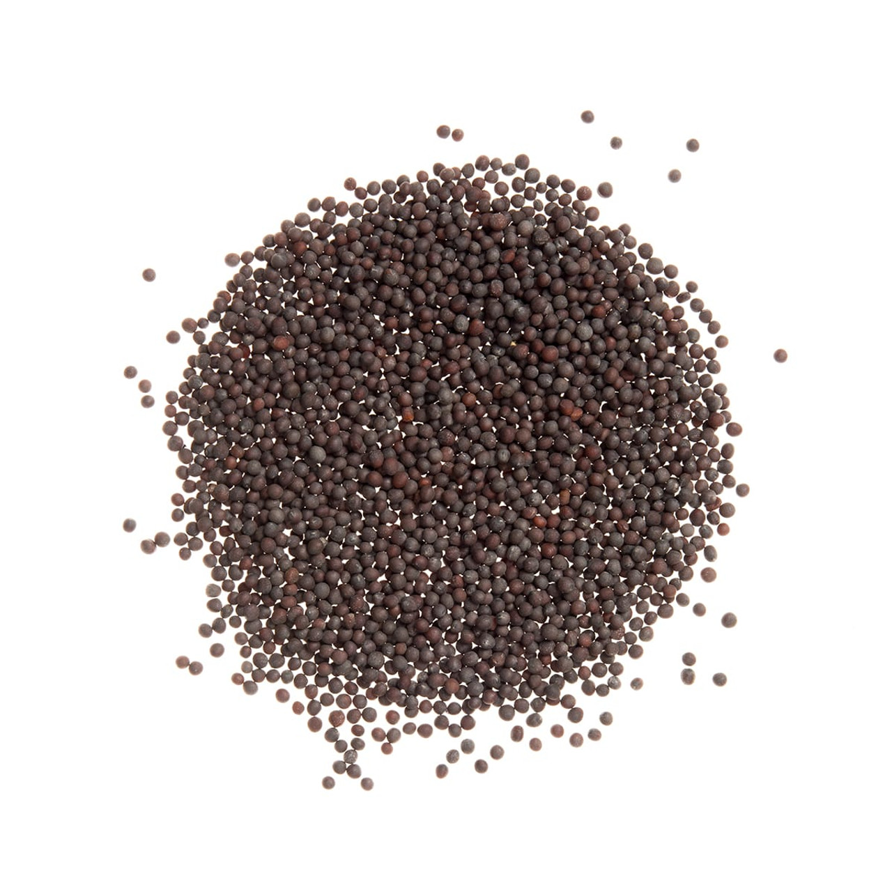 Black Mustard Seed Whole | Bulk Black Mustard