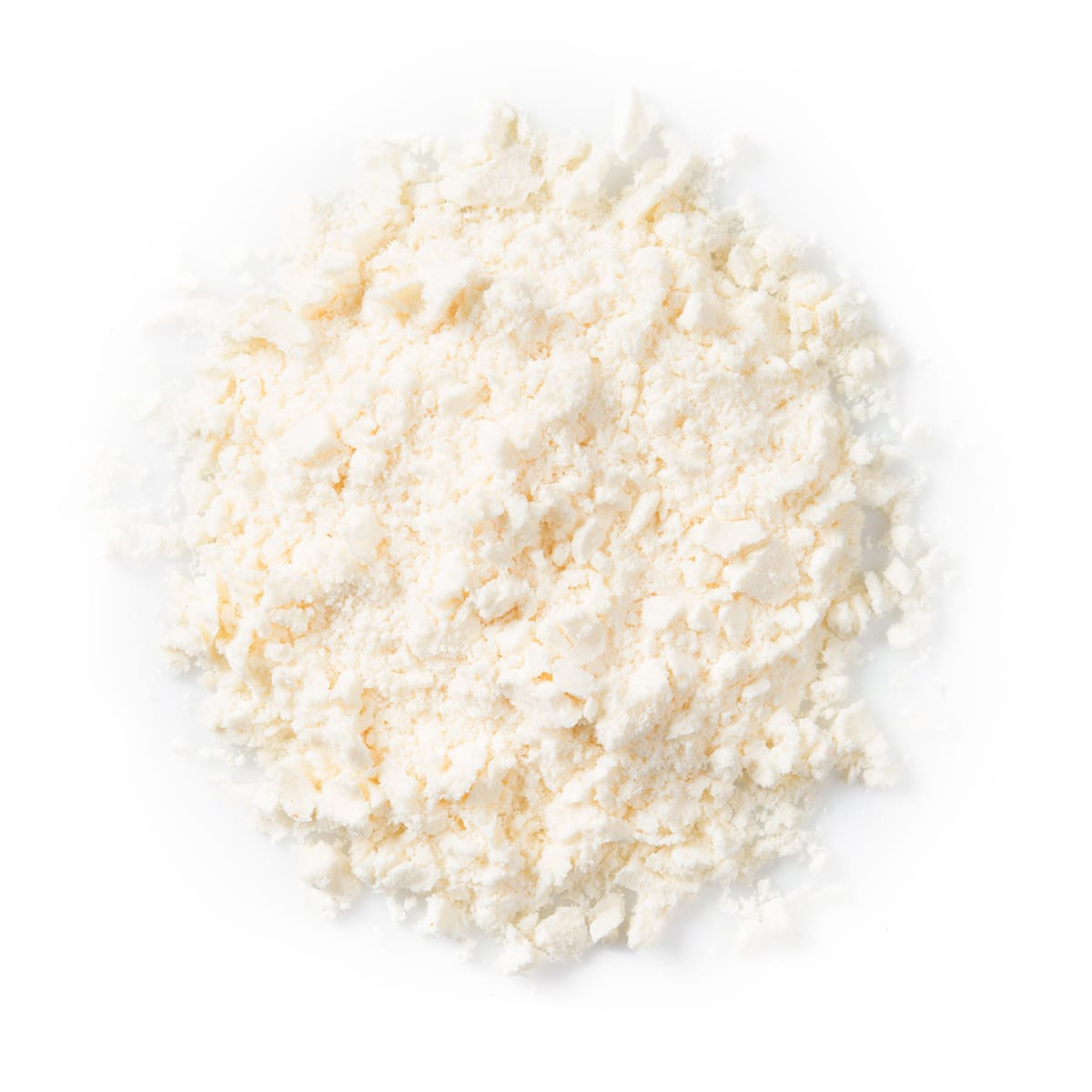 Cheddar Cheese Powder | Buy Bulk Cheddar Cheese