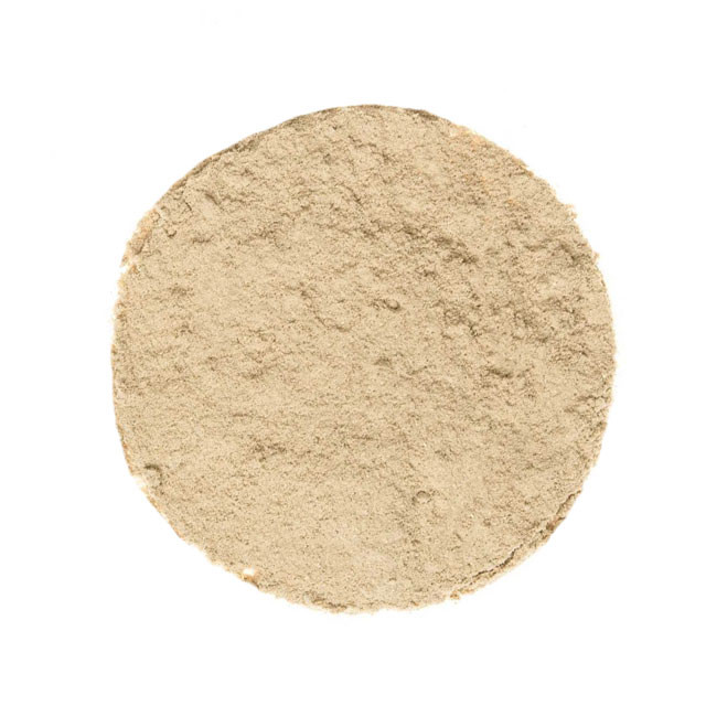 Shiitake Mushroom Powder | Bulk Ground Shiitake