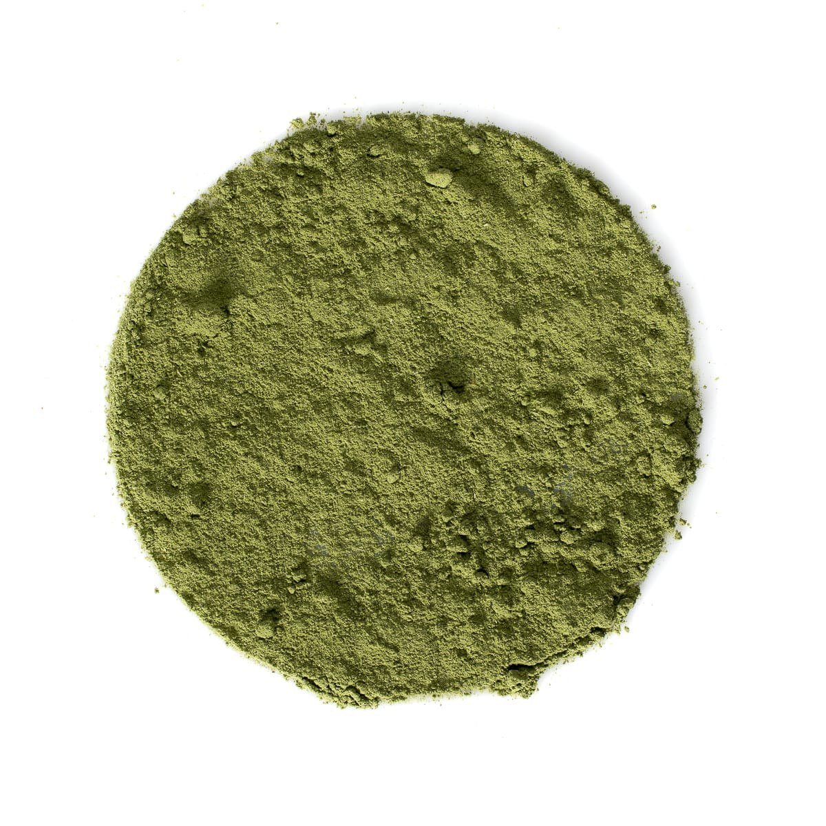 Worcestershire Powder | Bulk Worcestershire Sauce Powder