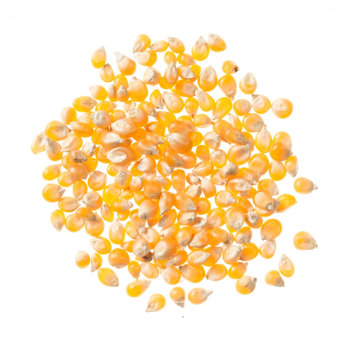 Caramel Color Powder | Bulk Carmel Color