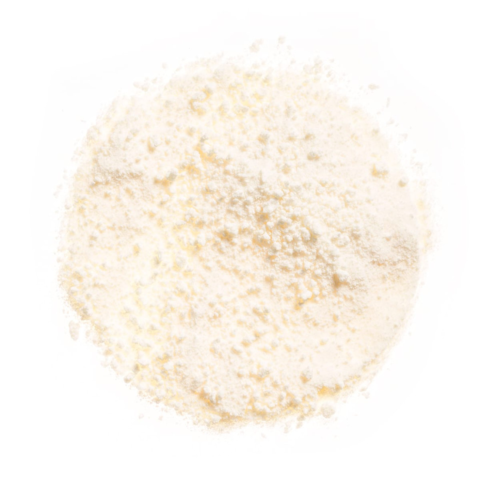 Whole Milk Powder | Bulk Powdered Milk | Dry Whole Milk