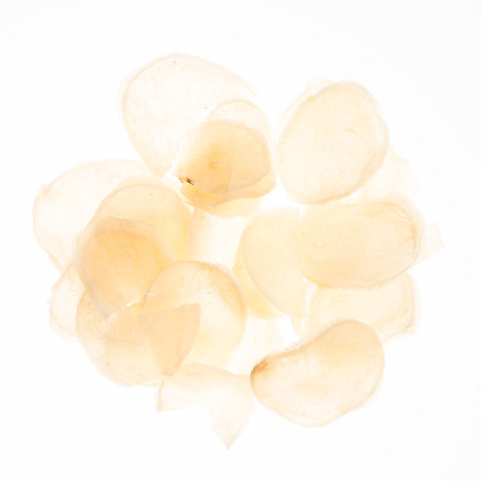 Dehydrated Sliced Potatoes | Bulk Sliced Potatoes