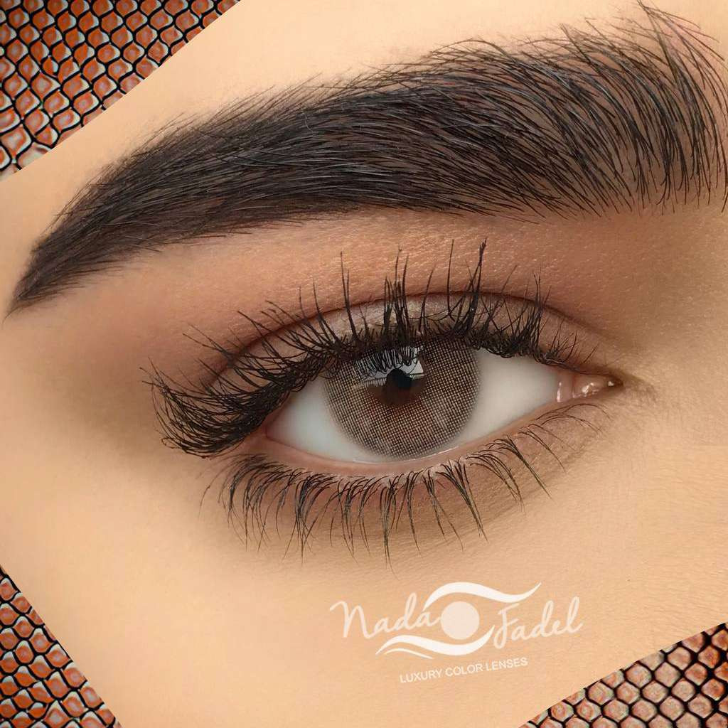 Nada Fadel Bee Light Brown Colored Contact Lenses