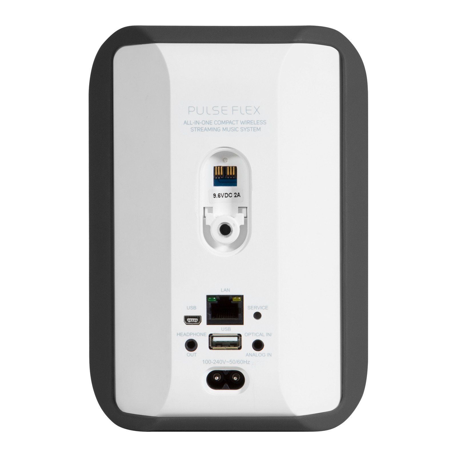 Bluesound Pulse Flex Skin - Charcoal - Audio Advisor Inc.