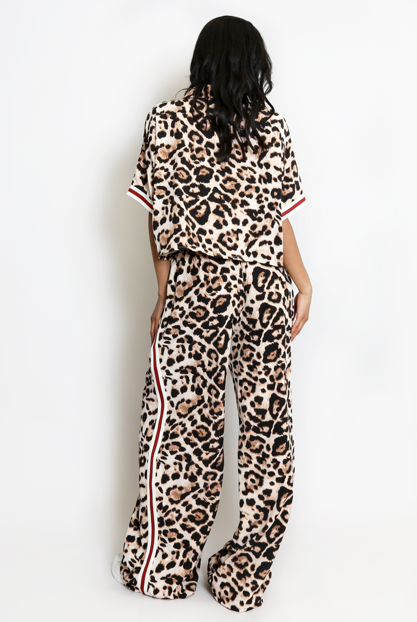 Leopard Blouse & Trouser Set - Buy Fashion Wholesale in The UK