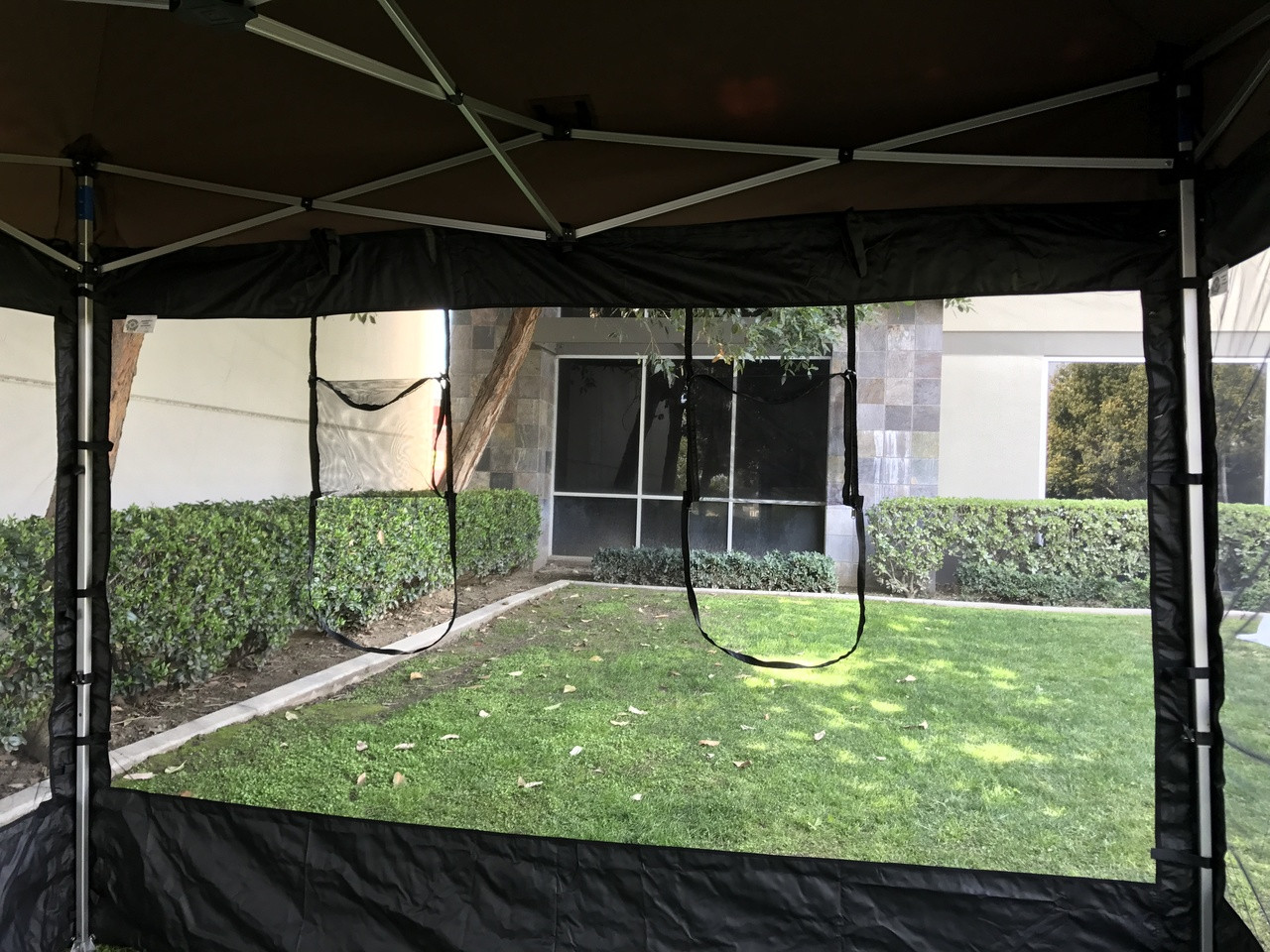 Food Screen Walls (Side:10'x10') - California Palms