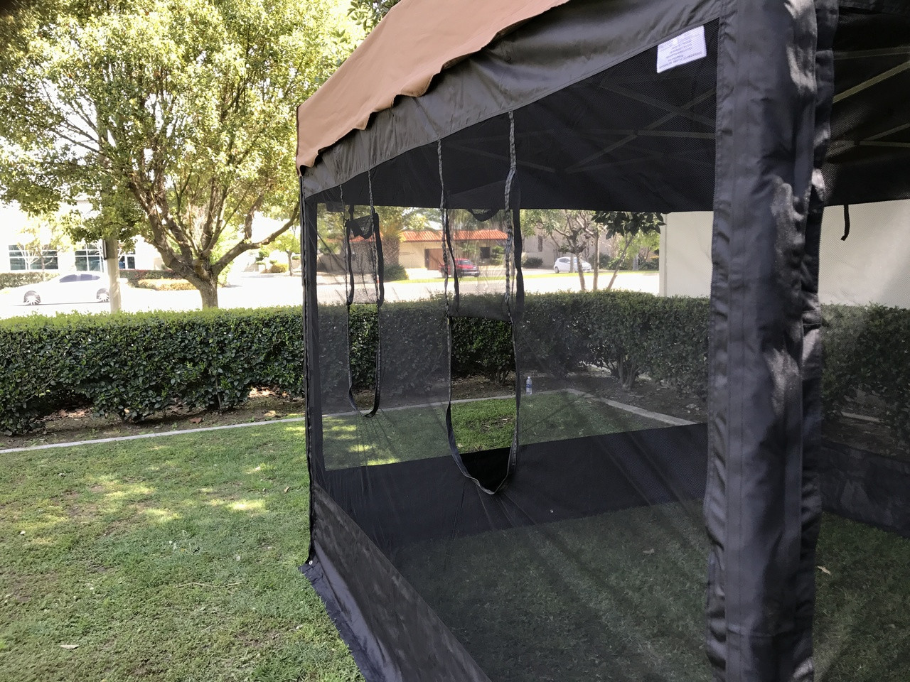 Food Screen Walls (Side:10'x10') - California Palms