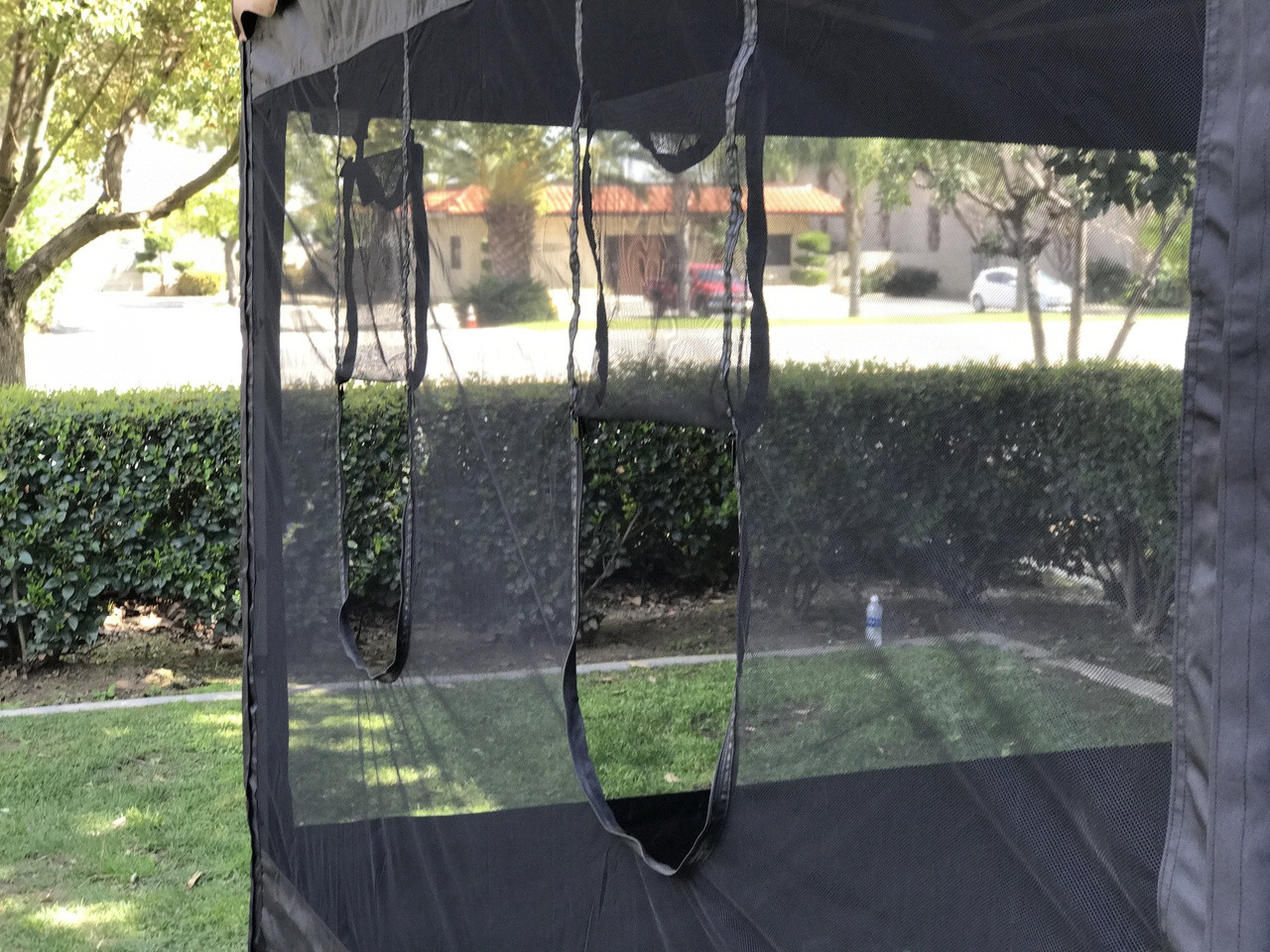 Food Screen Walls (Side:10'x10') - California Palms