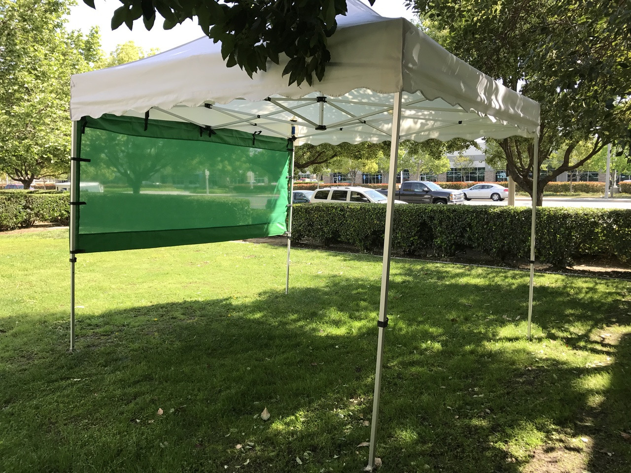 Side Panel Screen (Size: 10 ft.) - California Palms