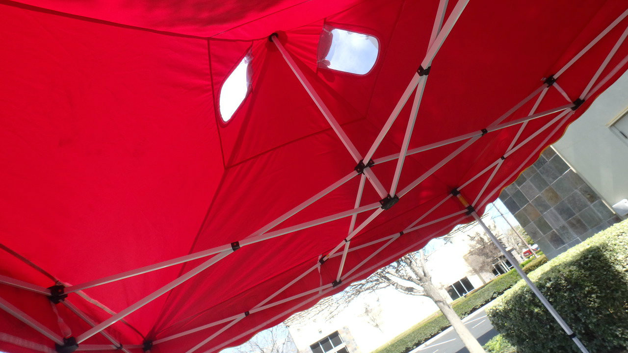 Princess Palm Four Seasons Kettle Corn Frame and Flame Retardant Top 10x10