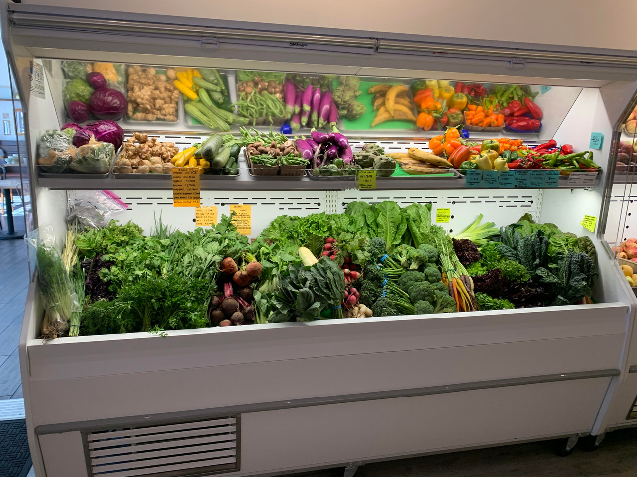 FRESH PRODUCE REFRIGERATION DISPLAY - LIGHTLY USED - California Palms