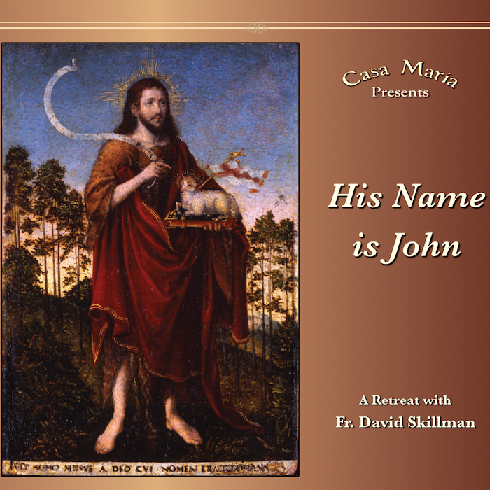 His Mercy Endures Forever Retreat MP3s - Fr. David Skillman - Casa ...