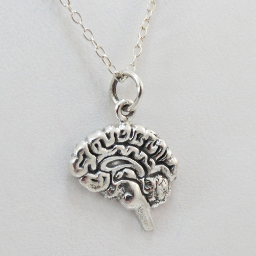 Anatomical Brain Necklace in Sterling Silver | FashionJunkie4Life.com