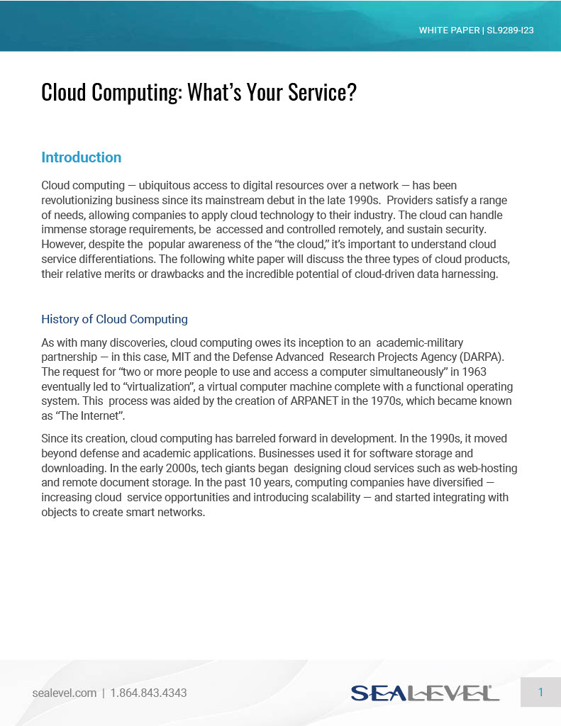 White Paper: Cloud Computing: What’s Your Service? - Sealevel Systems, Inc
