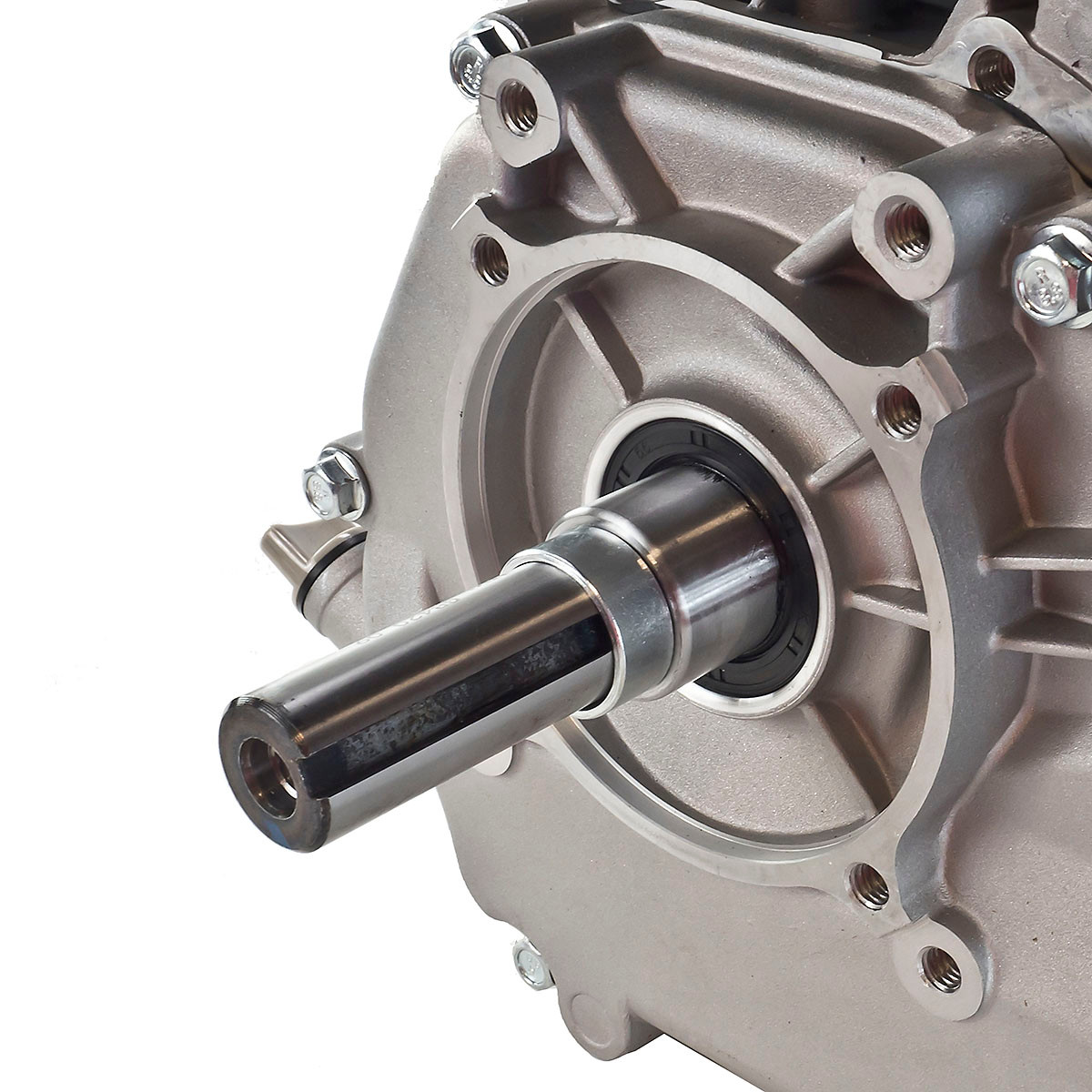 Small Engine Warehouse | Buy Replacement Gasoline Engines and Parts