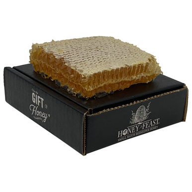 Honeycomb Square in a Box - The BBQ Allstars