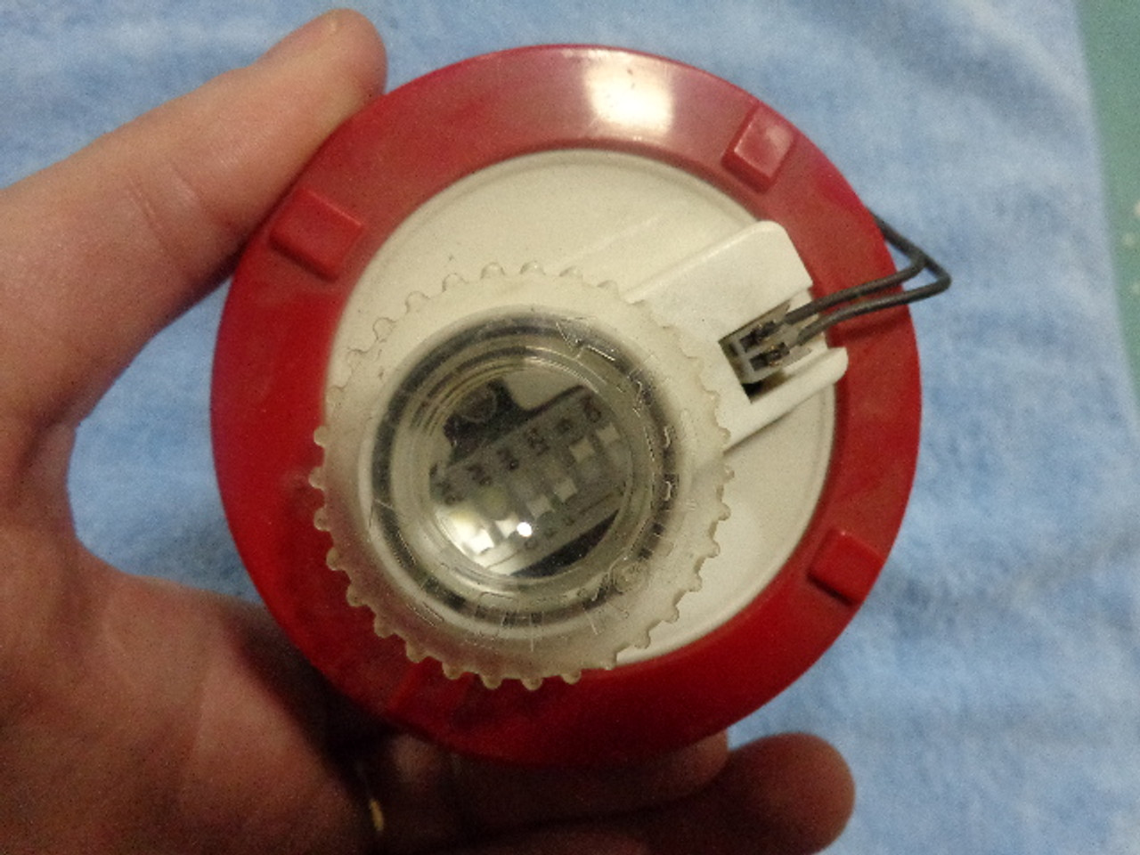 Electro-Luber 125CC Automatic Luber - JMW Enterprises