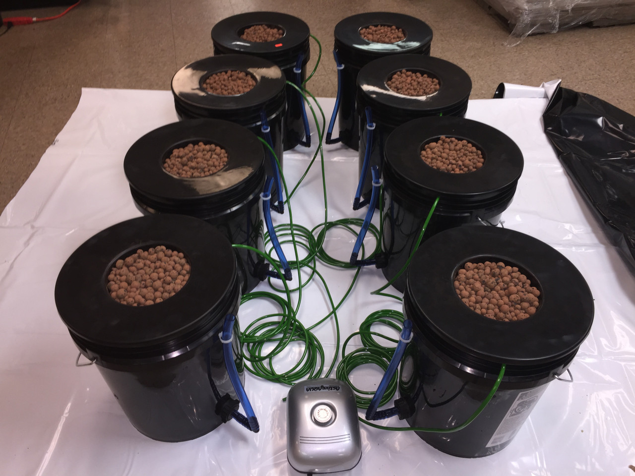 Hydroponics - DWC Buckets - PA Hydroponics
